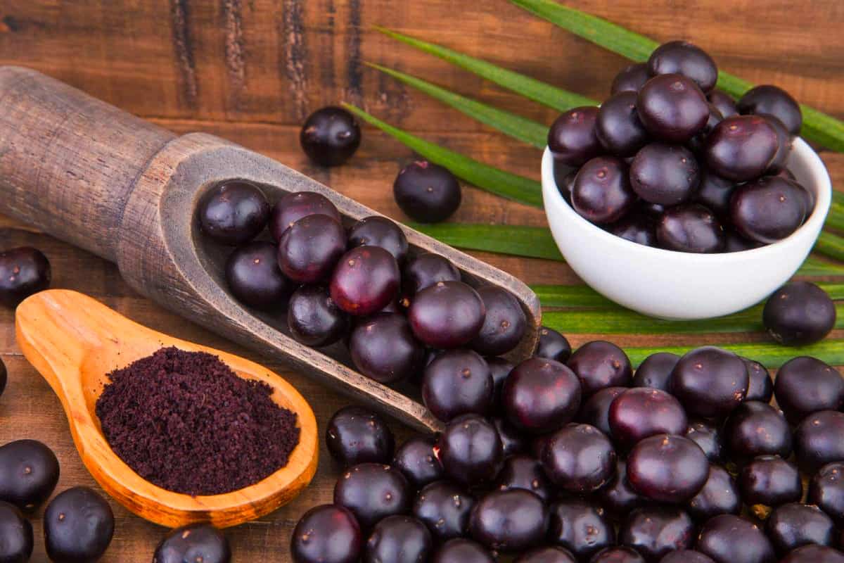 Acai: qué es, beneficios, usos, propiedades